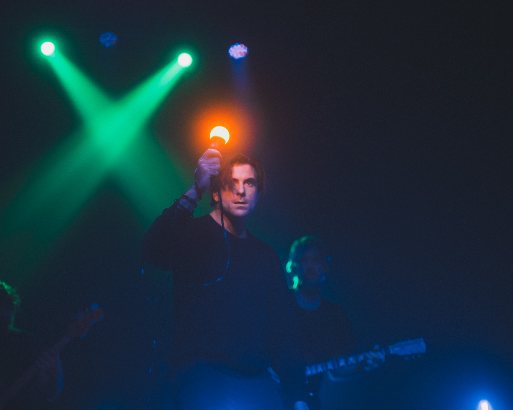 The Sound of Animals Fighting – Sad Punk Press