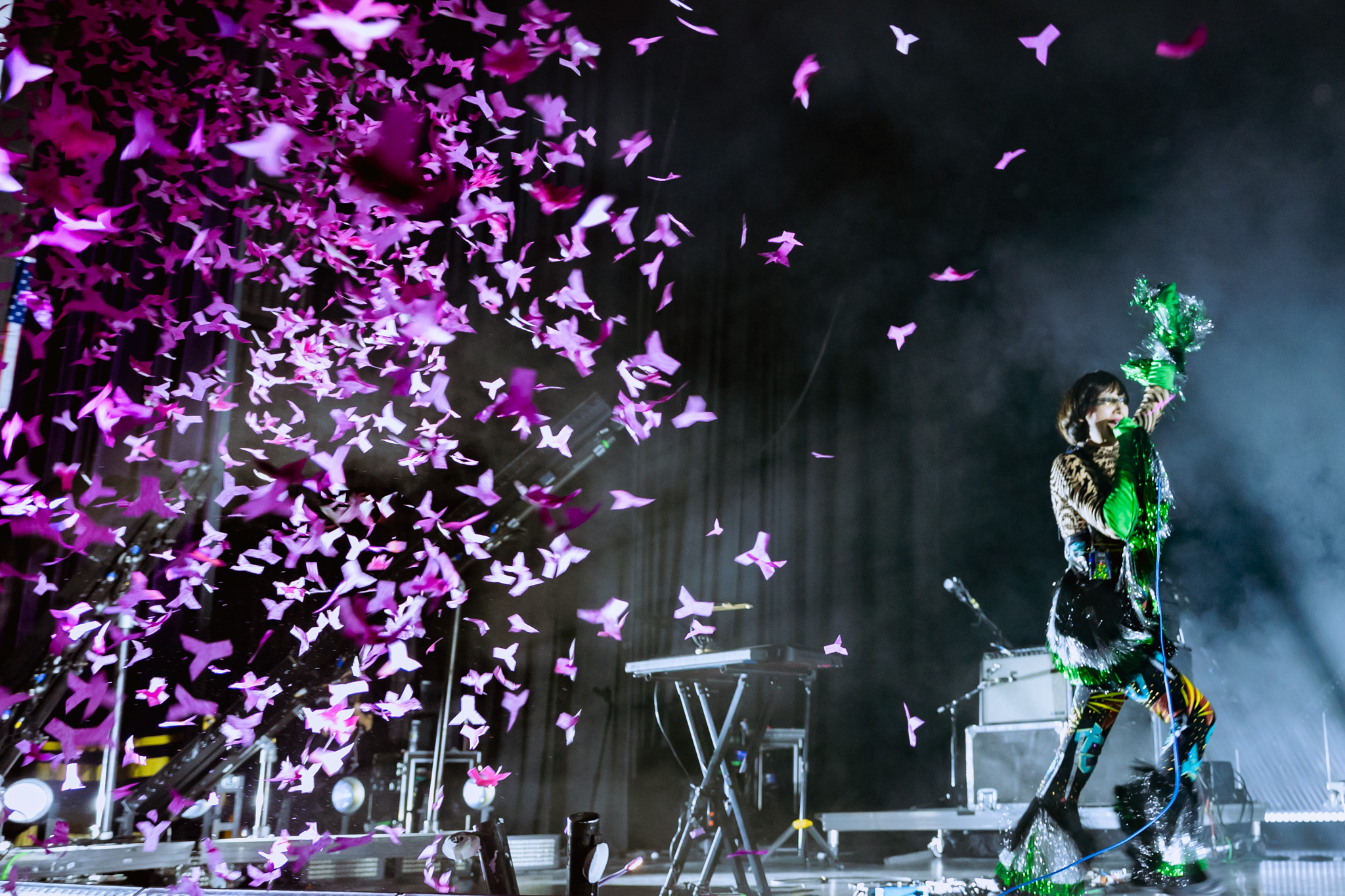 The Yeah Yeah Yeah’s – Sad Punk Press